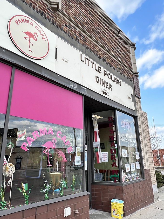The Little Polish Diner's pink flamingo logo is delightfully unexpected. Who knew Polish comfort food and tropical birds made such a charming pair?