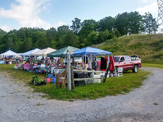 Outdoor vendors under tents create that perfect festival atmosphere where every booth holds new possibilities.