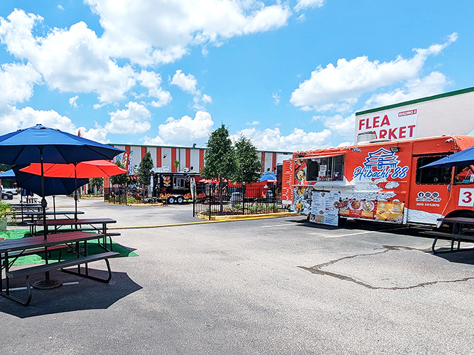 The entrance promises adventure, and trust me, this place delivers on every single treasure-hunting fantasy.