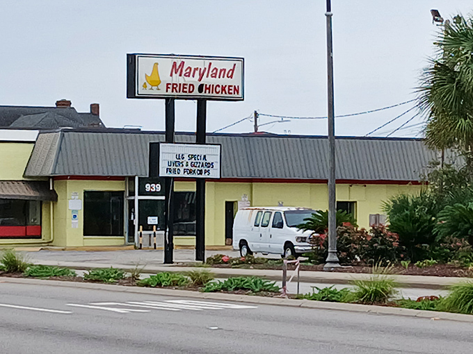 That vintage Maryland Fried Chicken sign has been guiding hungry beach-goers to crispy goodness for generations.