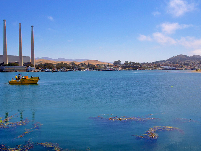 Morro Rock stands guard like California's Gibraltar, minus the monkeys but with plenty of sea otters.
