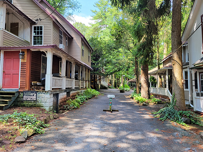 The gentle shadows and quiet path invite you to imagine rocking chairs on the porches and cool glasses of lemonade on warm summer days.