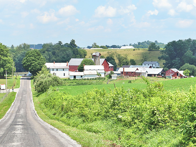 Mount Hope's rolling countryside with classic red barns - where "farm fresh" isn't a marketing slogan, it's just Tuesday.