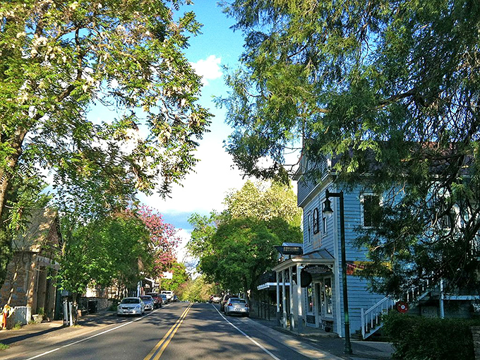 Tree-lined streets invite unhurried exploration through this Sierra foothills town's welcoming historic district.