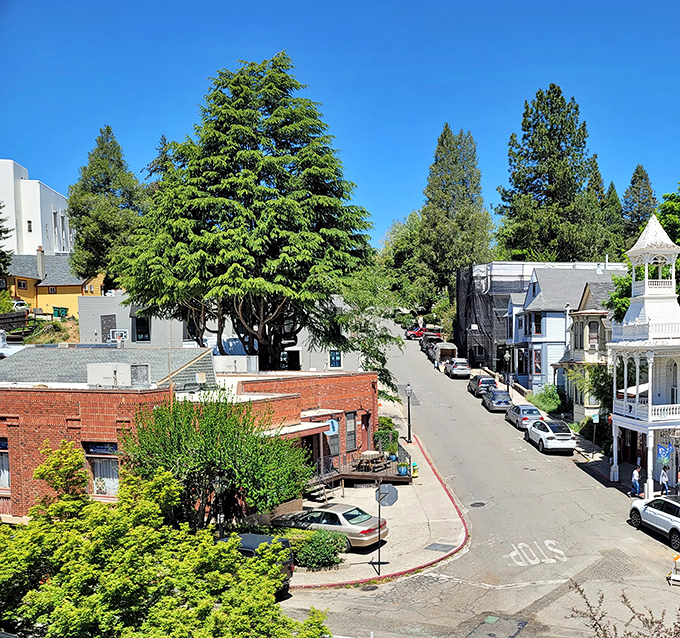 Nevada City's tree-lined streets blend Victorian elegance with Gold Rush grit in perfect mountain harmony.
