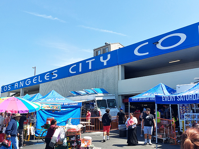 College campus parking transforms into a monthly treasure hunt where students and collectors search for hidden gems.