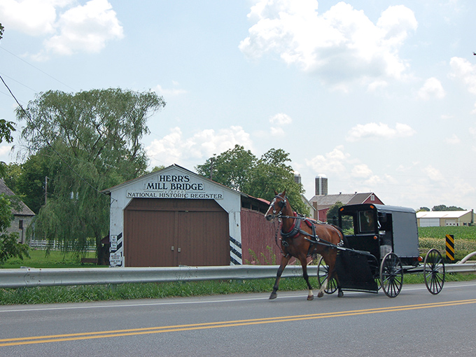 Herr's Mill Bridge stands as a reminder that the best journeys often lead to places where time stands still.