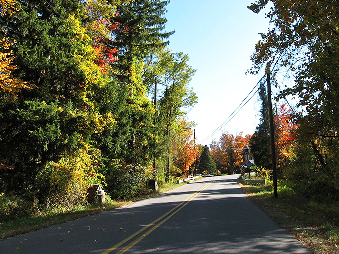Mother Nature's own scenic highway winds through Paradise, where every turn reveals another postcard-worthy vista of fall foliage.