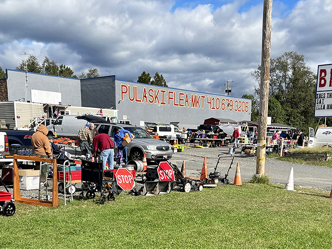 Bold signage announces this treasure trove where serious bargain hunters know the best deals are always waiting.