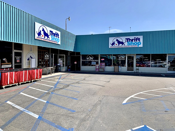 The Rancho Coastal Humane Society shop combines two great causes: saving money and saving furry friends.