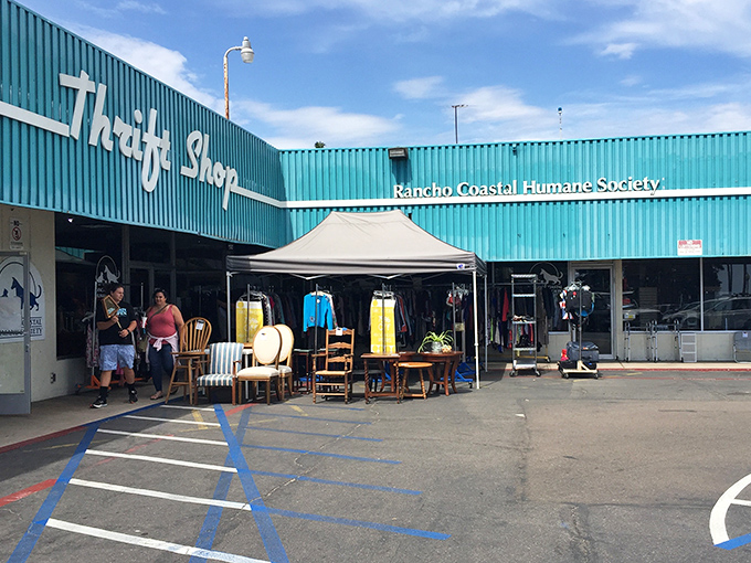 Shopping for a cause never felt so good - this coastal thrift shop helps furry friends find homes.