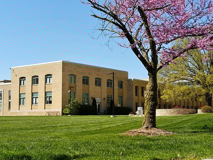 Spring blossoms frame Rolla's civic buildings, nature's way of softening government's edges with a touch of Missouri beauty.