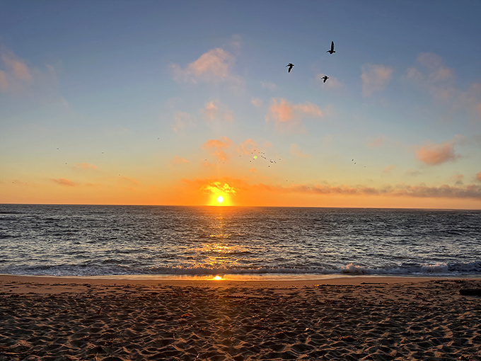 Ross' Cove reveals itself like a secret whispered by the coastline. Few make the journey; fewer want to leave.