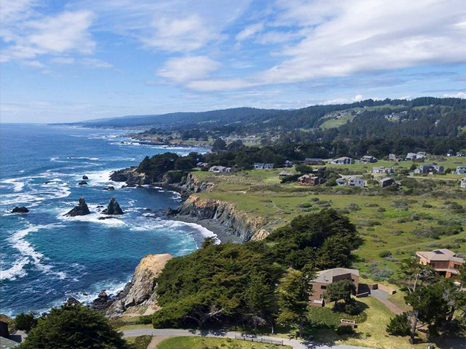 Sea Ranch homes blend into the coastal bluffs like they grew there naturally alongside the wildflowers.