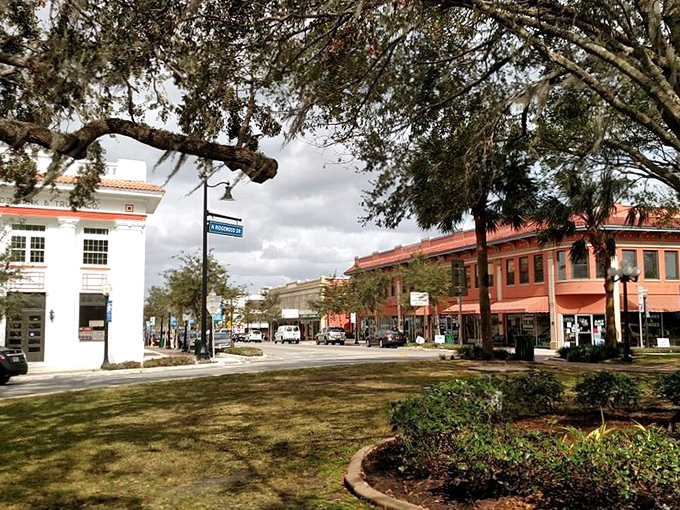 Look at those oak trees creating nature's umbrella over downtown &ndash; better than any theme park canopy!