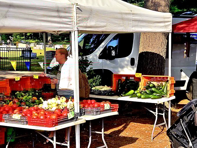 Fresh from the garden to your table! Nothing beats Wisconsin tomatoes still warm from the sun at a Northwoods market.