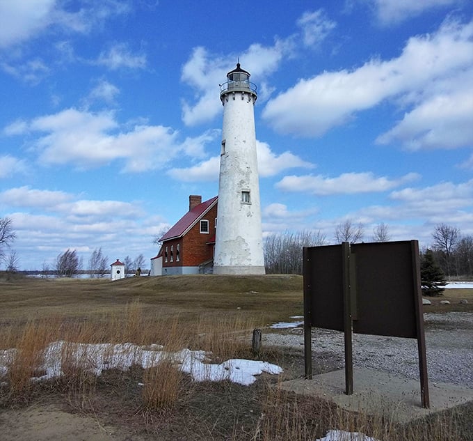 Freel's Market sits like a neighborhood institution, where shopping feels more like visiting old friends than running errands.