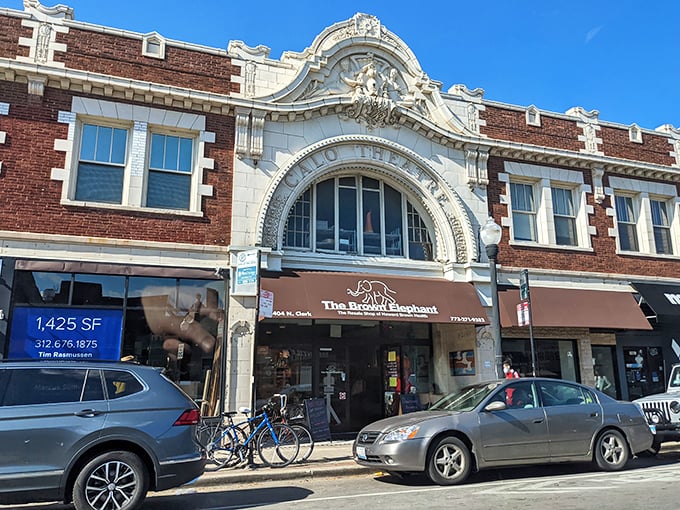Housed in a historic Chicago building, this thrift store elevates secondhand shopping to an art form.