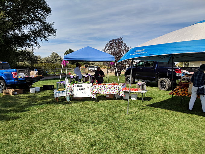 Twin Falls brings the goods! Fresh produce and friendly faces make Saturday mornings worth waking up for.
