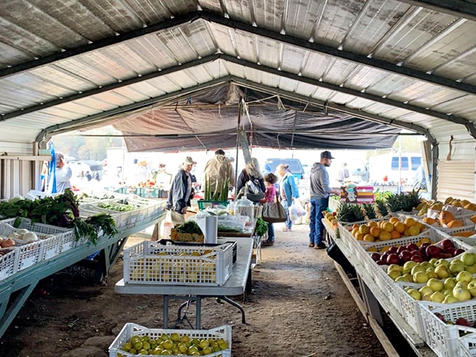 Fresh produce lines the covered walkways at 311 Market. Those fruits and vegetables were probably still in the ground yesterday!