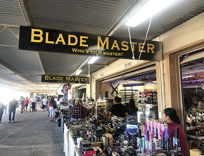 Power tools and gadgets spread out like a handyman's dream come true buffet.