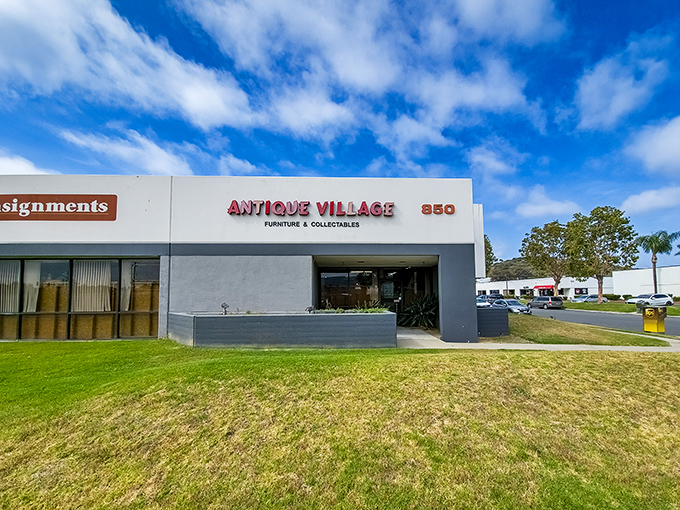 San Marcos' sleek antique destination shows that contemporary spaces can house the most charming vintage finds.