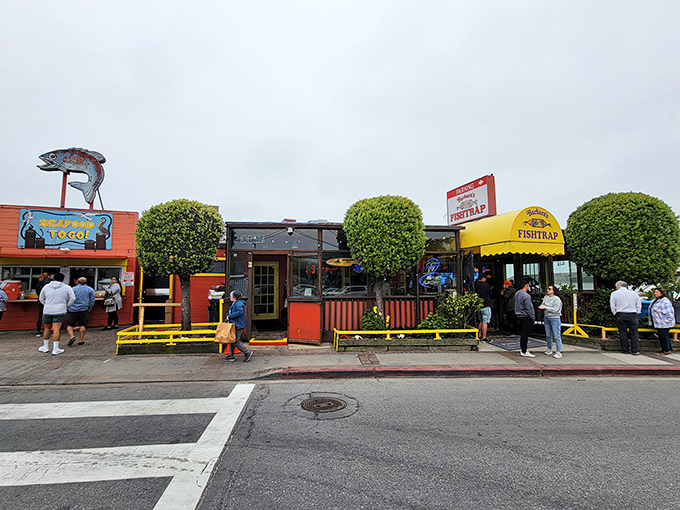 When food trucks gather like this, it's like a delicious convention where everyone wins and nobody goes hungry.