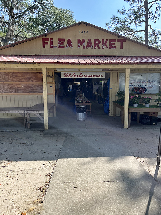 Morning light filters through Spanish moss as Bargainville welcomes early birds. The best deals, like the best fishing, happen at dawn.