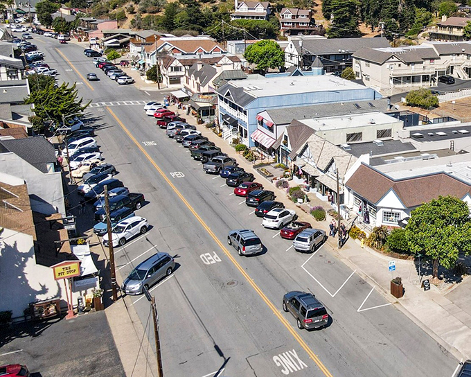 This bird's-eye view reveals Cambria's perfect blend of small-town charm and natural beauty.