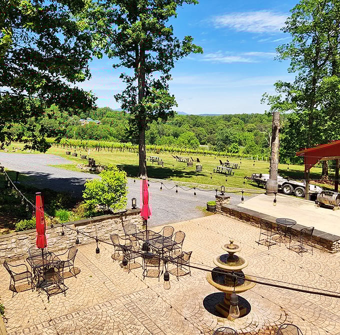 The architects clearly understood the assignment: create a space where the wine and the views compete for your attention.