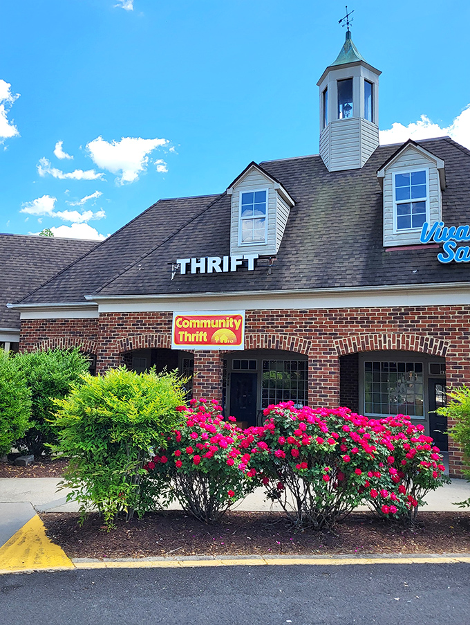 Those beautiful flowering bushes frame this thrift store like nature's own welcome mat.