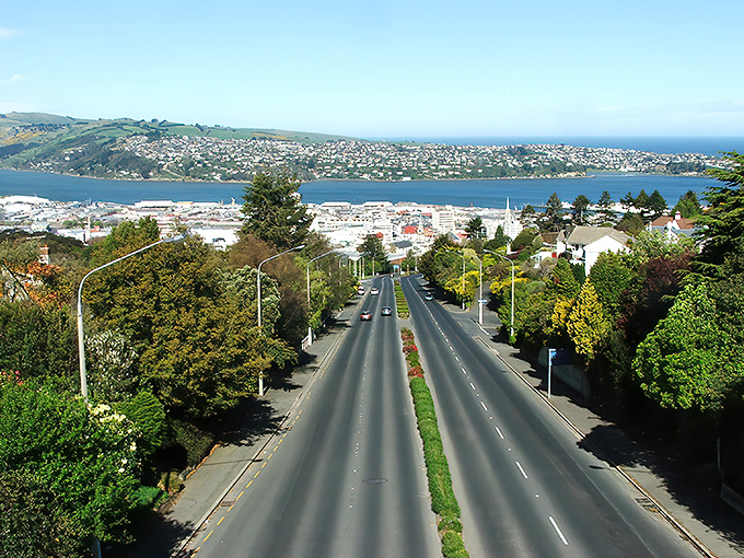 This Scottish-themed gem proves that Highland dreams can bloom beautifully under Florida's endless sunshine.