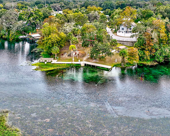 Dunnellon's crystal-clear Rainbow River stays refreshingly cool year-round, like nature's own perfectly temperature-controlled swimming pool paradise.