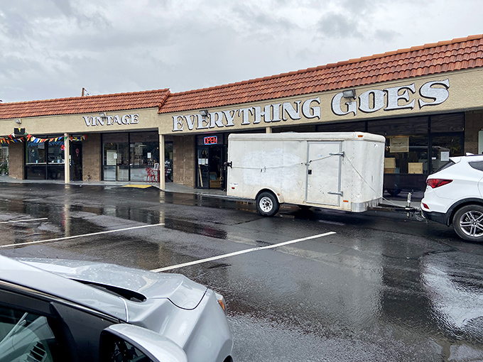 Even rainy days can't dampen the spirits of determined treasure hunters at this Phoenix gem.