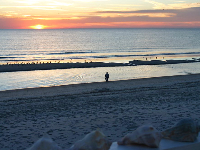 Fernandina Beach's Victorian elegance meets coastal beauty, where history and hospitality shake hands on every corner.