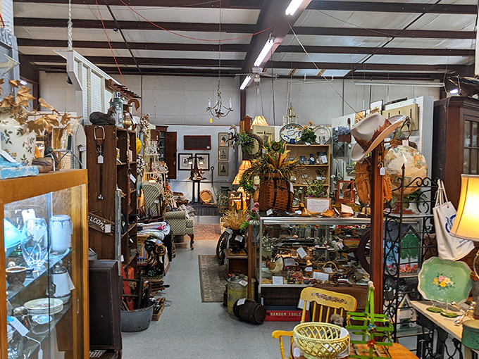 Organized chaos at its finest - every corner holds surprises that spark childhood memories and adult dreams.