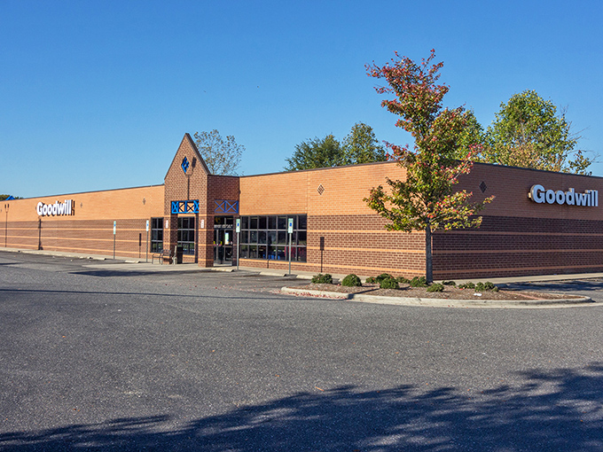 When even the parking lot looks this organized, you know the treasures inside are going to be worth the trip.