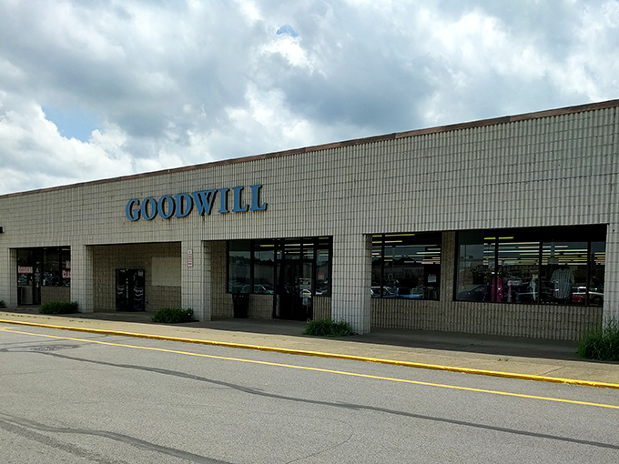 Behind these brick walls lies a universe of possibilities&mdash;Goodwill's organized chaos is a thrifter's dream come true.