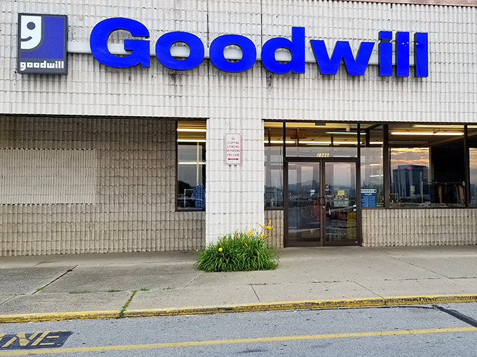 Goodwill: where your donation becomes someone else's discovery. The retail version of "one man's trash is another man's treasure."