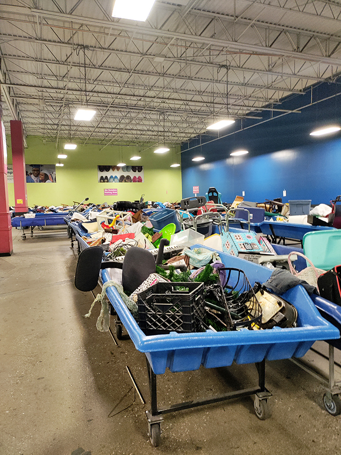 Those blue bins hold mysteries that would make Indiana Jones jealous - adventure shopping at its finest.