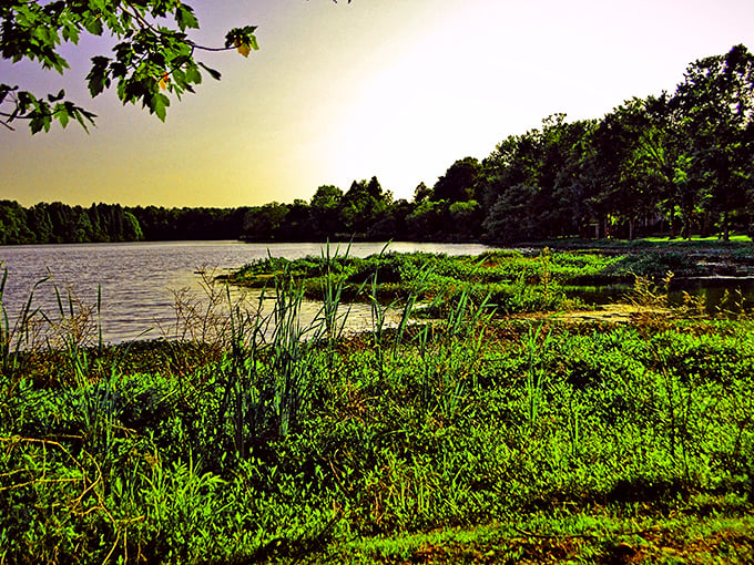 Peaceful lakeside views in South Carolina's affordable towns offer retirees natural beauty without draining their Social Security checks.