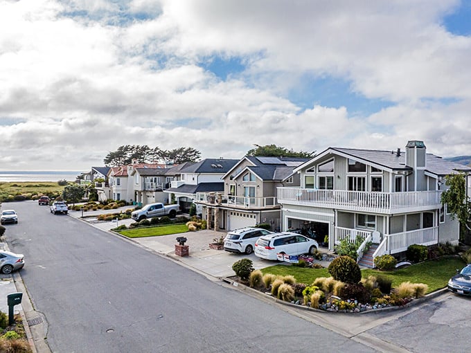 Coastal bluffs frame this working harbor where Dungeness crab boats return with ocean treasures for grateful seafood lovers.