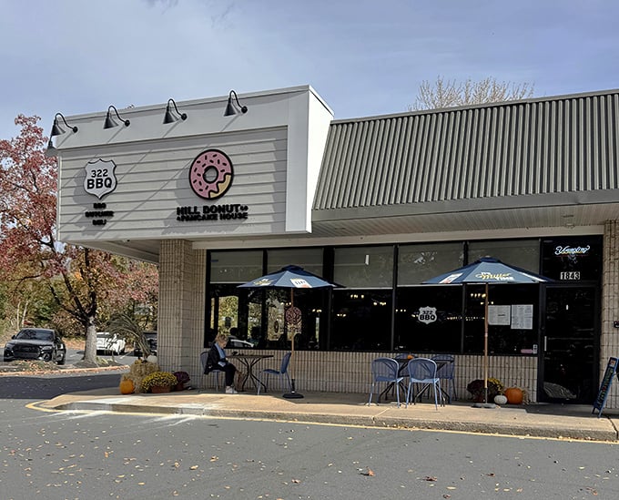 Fall pumpkins and fresh donuts - Hill Donut Co. knows exactly what comfort tastes like.