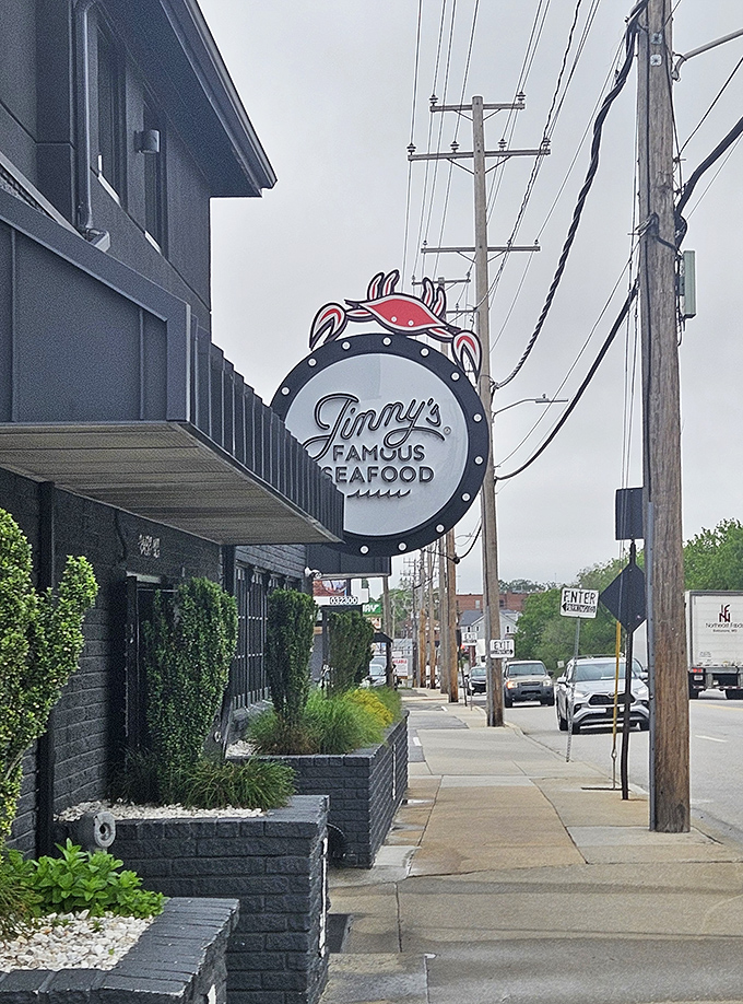 Classic Baltimore charm meets serious seafood credentials - this is where the city comes to crack shells properly.