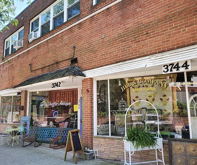 Multiple storefronts mean multiple chances to find that one perfect piece you never knew you were missing.