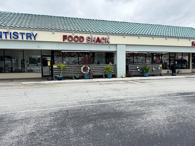 More stickers than a kindergartner's art project, but the seafood inside is strictly graduate-level deliciousness.