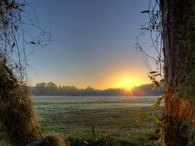 Golden sunrise paints Live Oak's countryside in hues that remind you why Florida mornings feel magical.