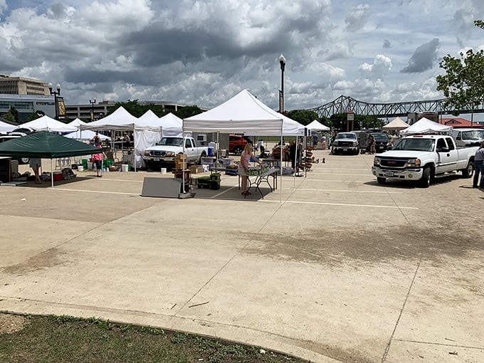 Market day in Peoria brings vendors and shoppers together. Those white tents could be hiding your next favorite thing!