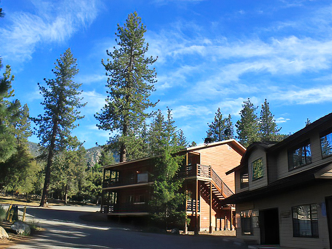 Mountain homes blend into the forest landscape, proving luxury doesn't always require luxury prices.