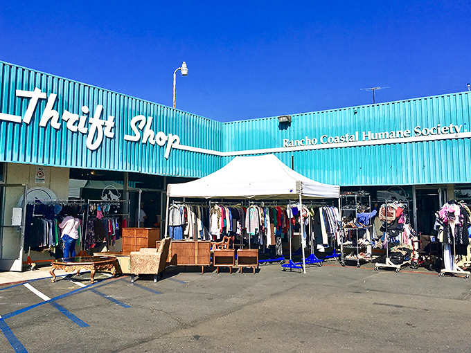 Where beachy vibes meet bargain hunting, and every purchase helps rescue animals live their best lives.